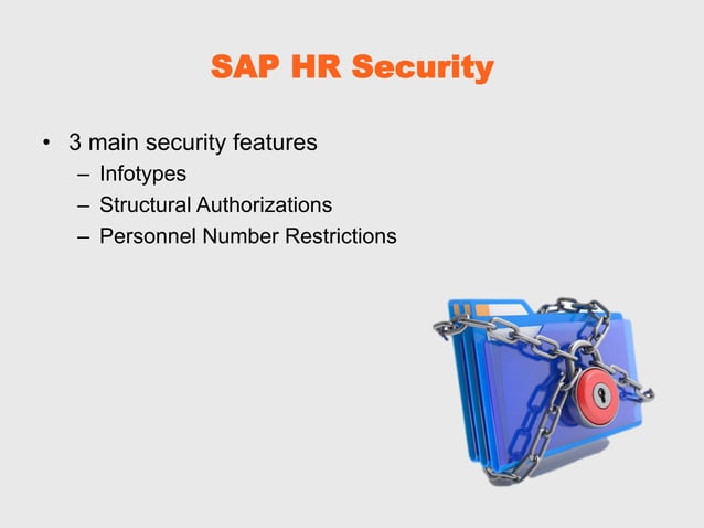 HR Security in SAP: Securing Data Beyond HCM Authorizations | PDF ...