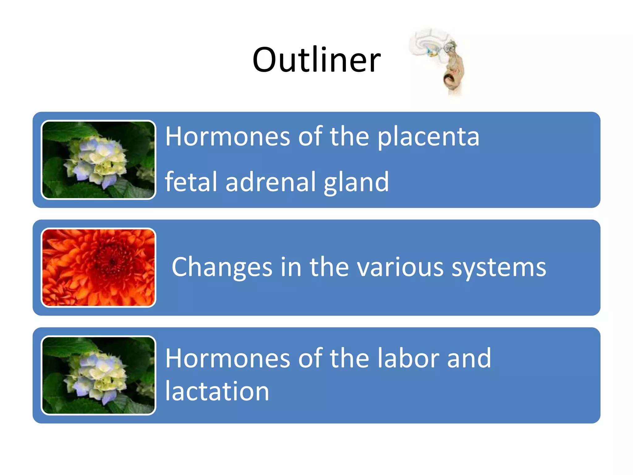 Hormone regulation in pregnancy | PPTX
