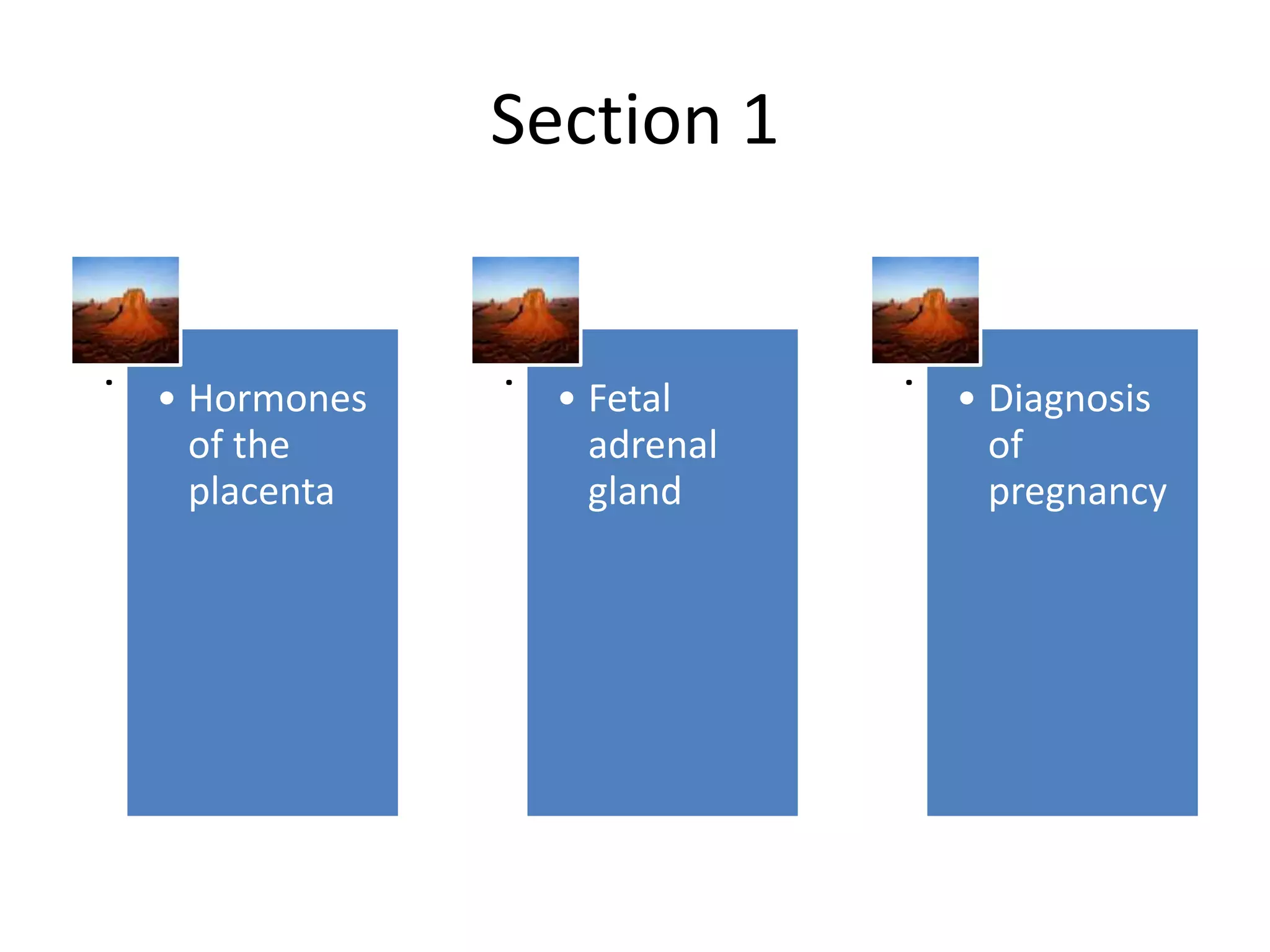 Hormone regulation in pregnancy | PPTX
