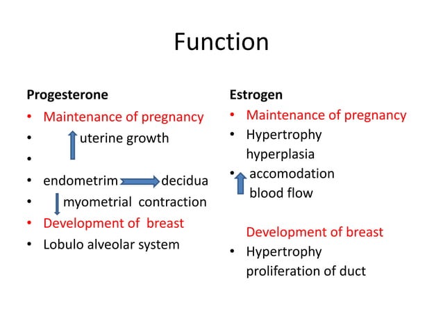 Hormone regulation in pregnancy | PPTX | Pregnancy | Reproductive Health