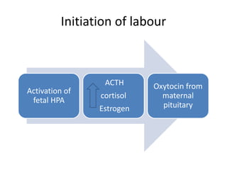 Hormone regulation in pregnancy | PPTX