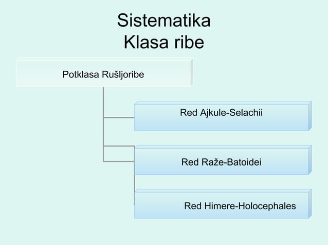 Ajkule i raže | PPT