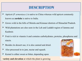 Apricot (P. armeniaca ) is native to China whereas wild apricot ...