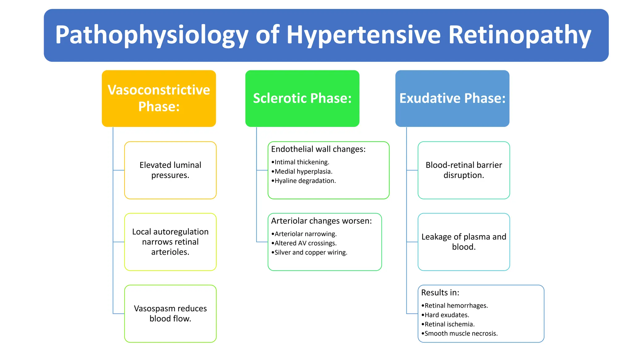 Hypertensive Retinopathy.pptx