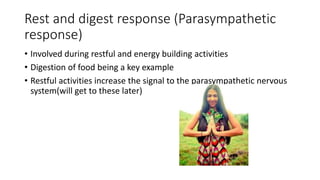 Introduction to HRV | PPTX
