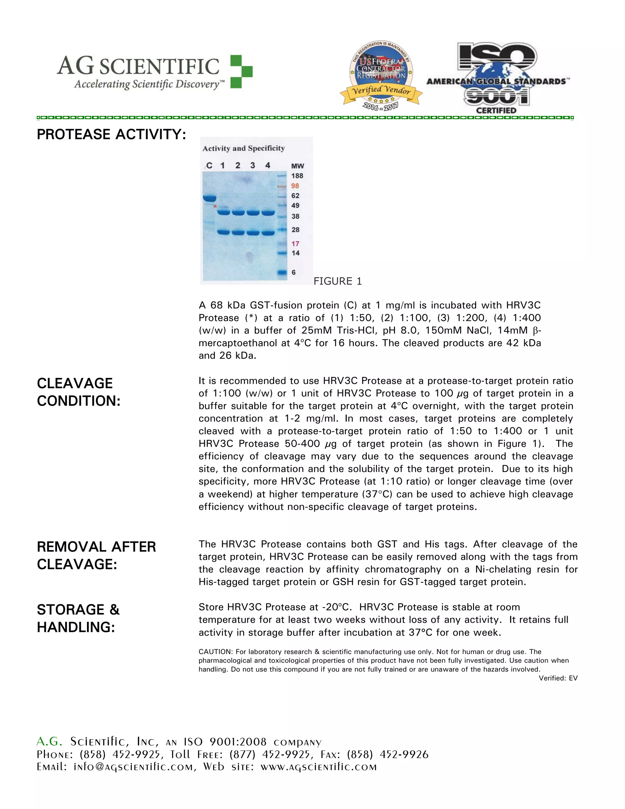 Hrv 3 c protease | PDF