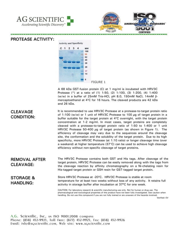 Hrv 3 c protease | PDF