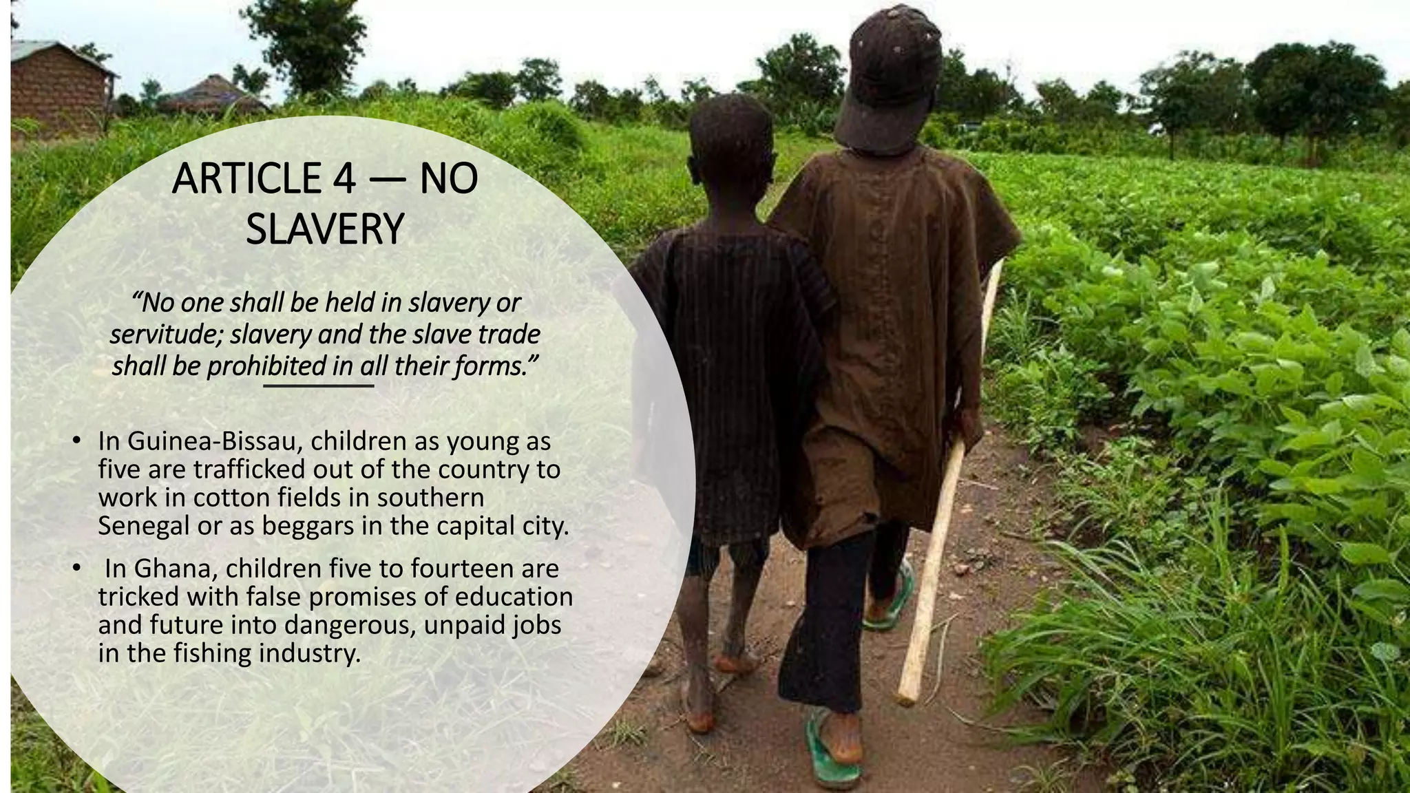 Human Rights violations | PPTX