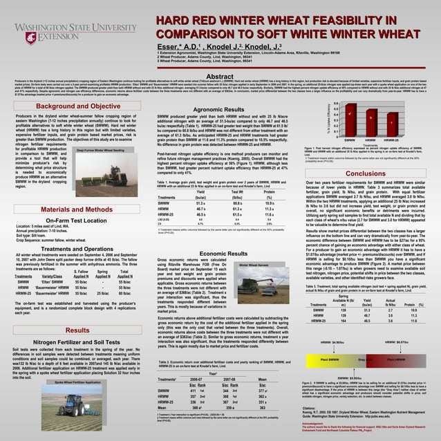 HARD RED WINTER WHEAT FEASIBILITY IN COMPARISON TO SOFT WHITE WINTER ...