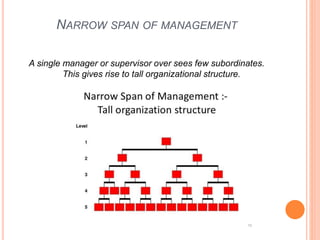 Hs300 m4 2 span of control | PPT
