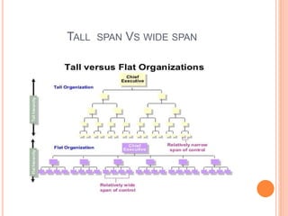 Hs300 m4 2 span of control | PPT
