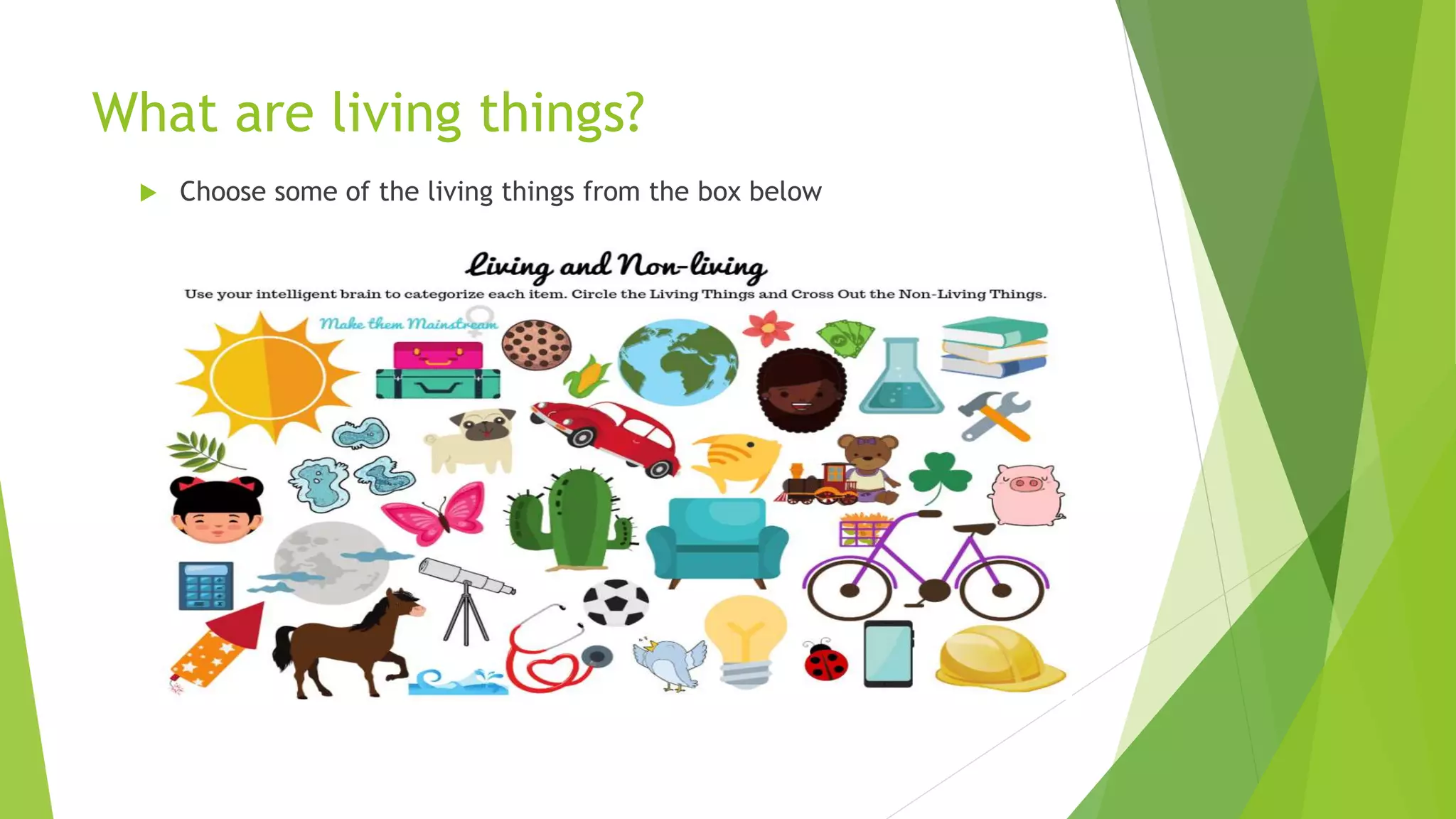 HSB- CHARACTERISTICS OF LIVING THINGS.pptx