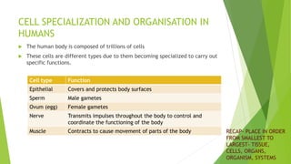 HSB- CHARACTERISTICS OF LIVING THINGS.pptx