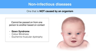 HSC Biology 3.2: Infectious and non infectious disease | PPT