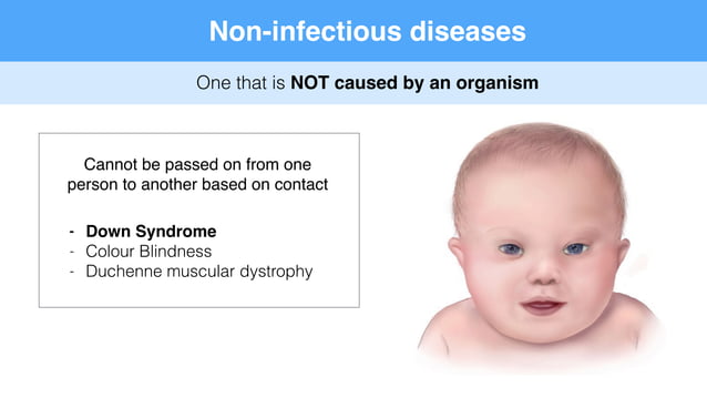 HSC Biology 3.2: Infectious and non infectious disease | PPT