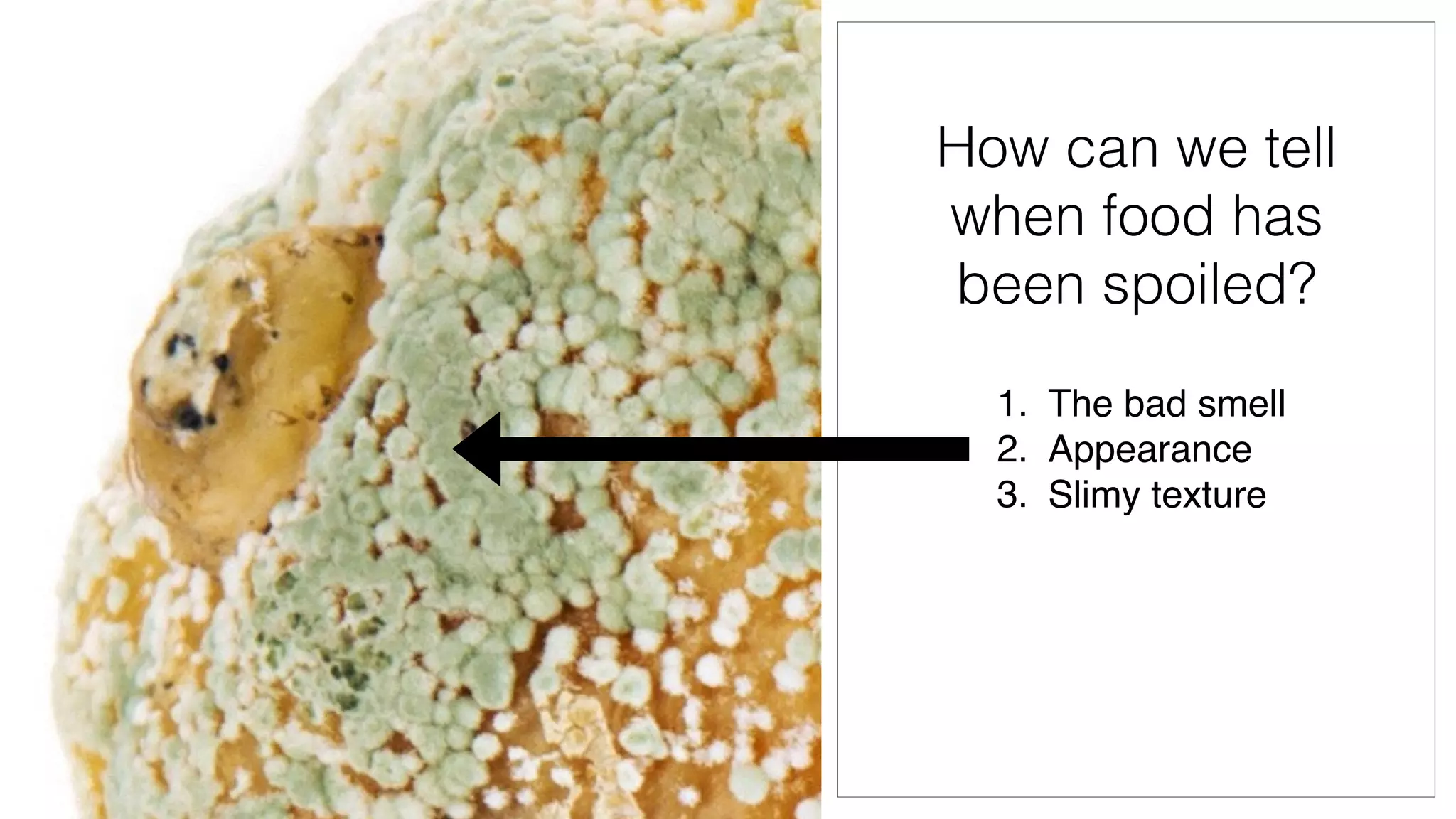 HSC Biology 3.2: Cleanliness in food, water and personal hygiene | PDF