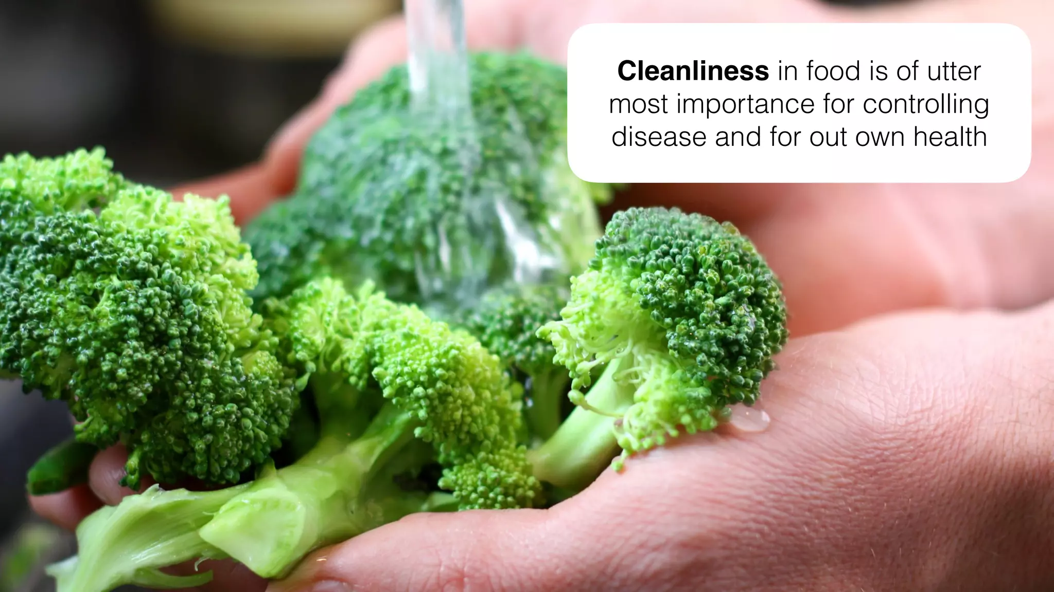 HSC Biology 3.2: Cleanliness in food, water and personal hygiene | PDF