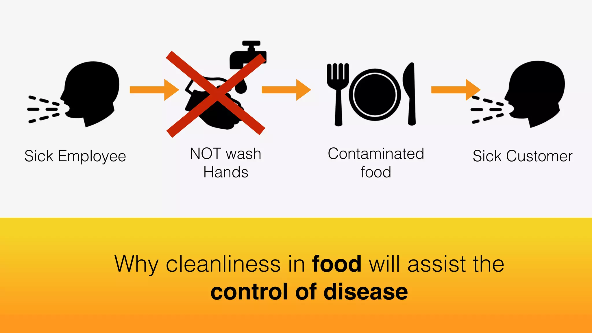 HSC Biology 3.2: Cleanliness in food, water and personal hygiene | PDF