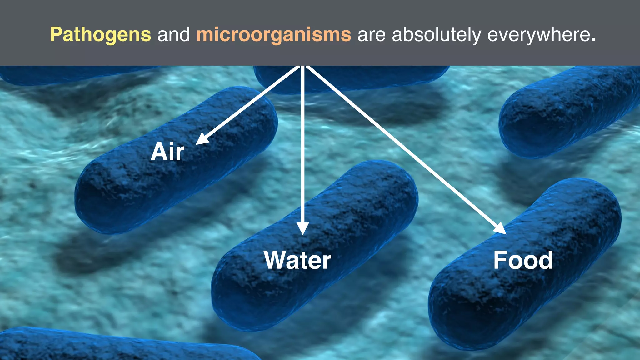 HSC Biology 3.2: Cleanliness in food, water and personal hygiene | PDF