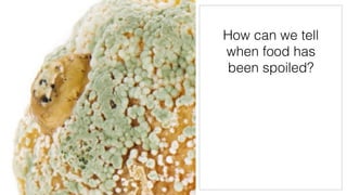 HSC Biology 3.2: Cleanliness in food, water and personal hygiene | PPT