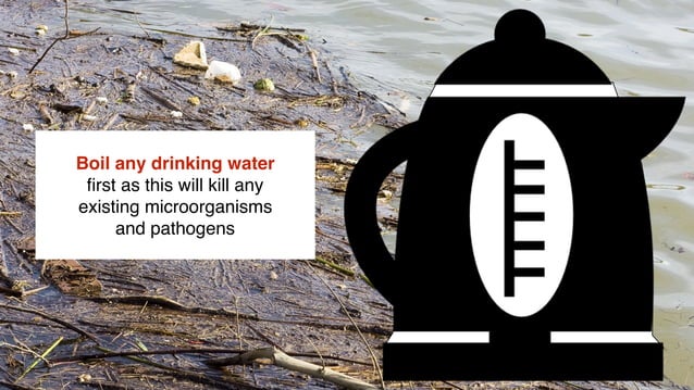 HSC Biology 3.2: Cleanliness in food, water and personal hygiene | PPT