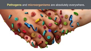 HSC Biology 3.2: Cleanliness in food, water and personal hygiene | PPT
