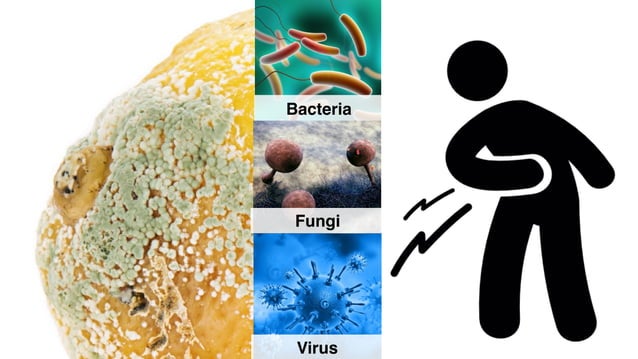 HSC Biology 3.2: Cleanliness in food, water and personal hygiene | PPT