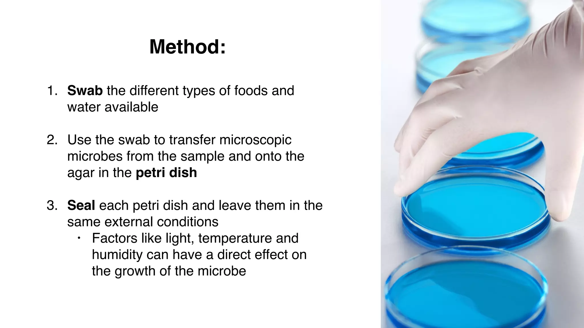 HSC Biology 3.2: Experiment - Microbes in food or water | PDF