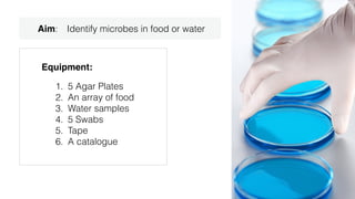HSC Biology 3.2: Experiment - Microbes in food or water | PDF