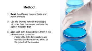 HSC Biology 3.2: Experiment - Microbes in food or water | PDF
