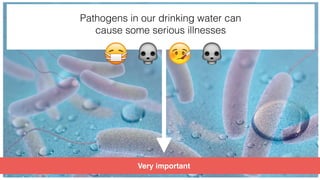HSC Biology 3.2: Treatment of water | PPT