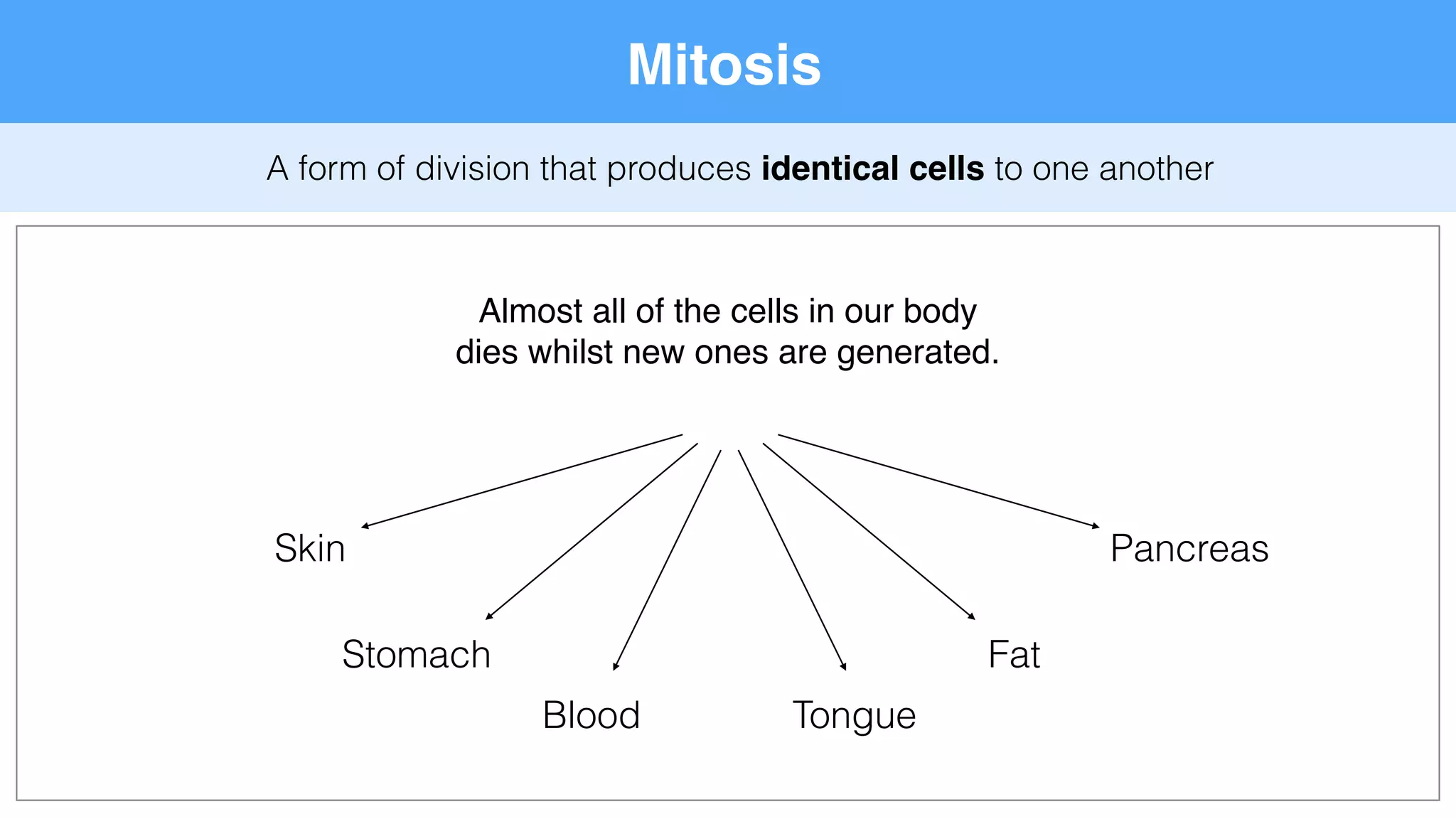Hsc biology 3.1: genes, mitosis, cell differentiation and ...