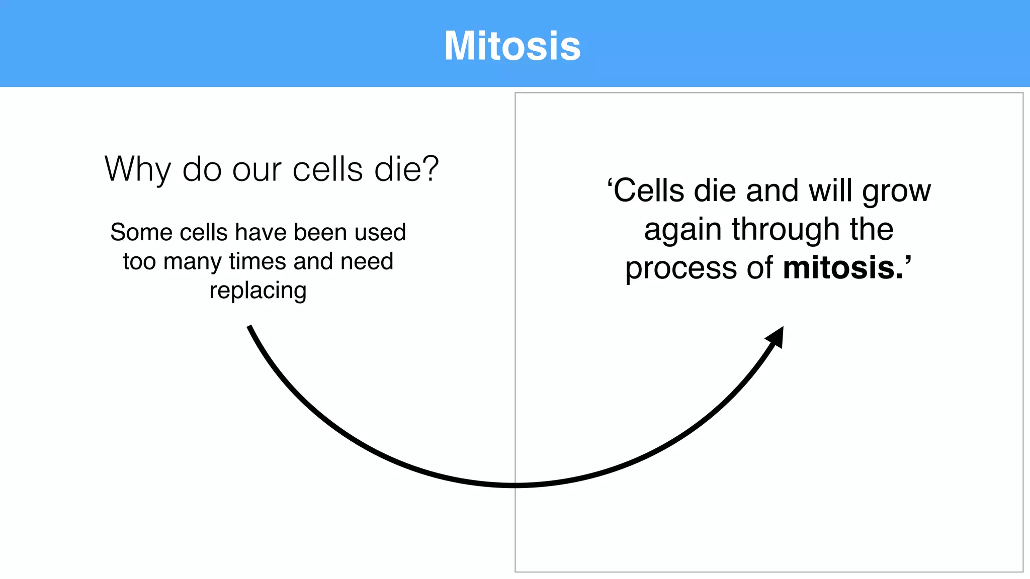 Hsc biology 3.1: genes, mitosis, cell differentiation and ...