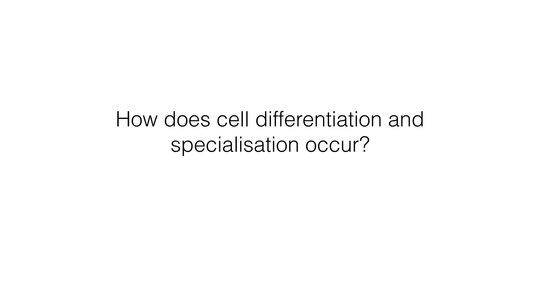 Hsc biology 3.1: genes, mitosis, cell differentiation and ...