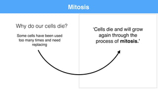 Hsc biology 3.1: genes, mitosis, cell differentiation and ...