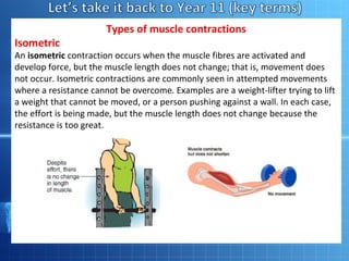 HSC PDHPE Core 2 | PPT