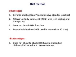 Hsc quiescence online | PPT
