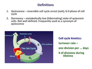 Hsc quiescence online | PPT