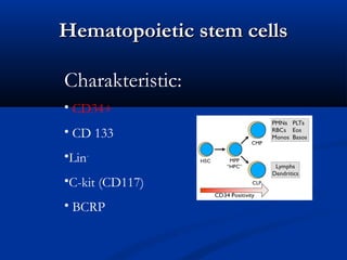 Hsct | PPT