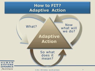 Eoyang Fit over Fidelity 2013 | PPTX