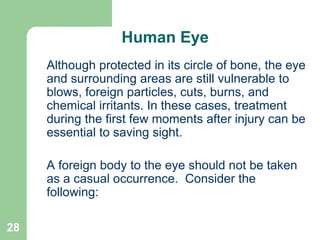 HSE-BMS-041 Eye and Face Protection.PPT