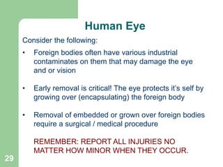 HSE-BMS-041 Eye and Face Protection.PPT