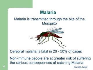 HSE-BMS-052 Malaria Control & precautions .PPT