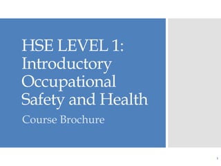 HSE-Level1-Brochure.pdf in Occupational Health and safety | PDF