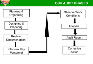 HSE Audit Program Guidance course for all | PDF