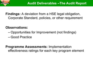 HSE Audit Program Guidance course for all | PDF