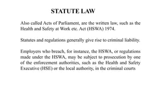 Principle of Health and safety law Chapter 1.pptx