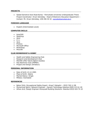 Hse cv english | PDF