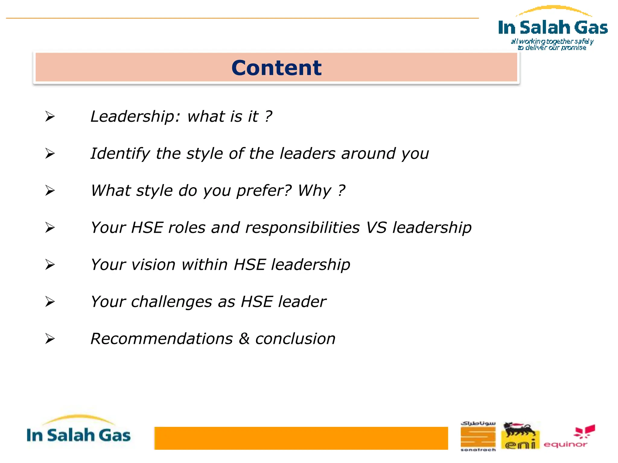 Site presntation for hse health and safety .ppt