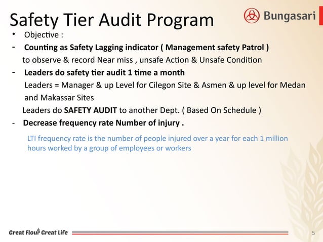 HSE Leaders Audit & Genba Program - CiMeMa.pptx